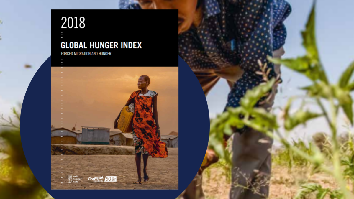 Global Hunger Index 2018 - Increased Efforts and Innovative Approaches ...
