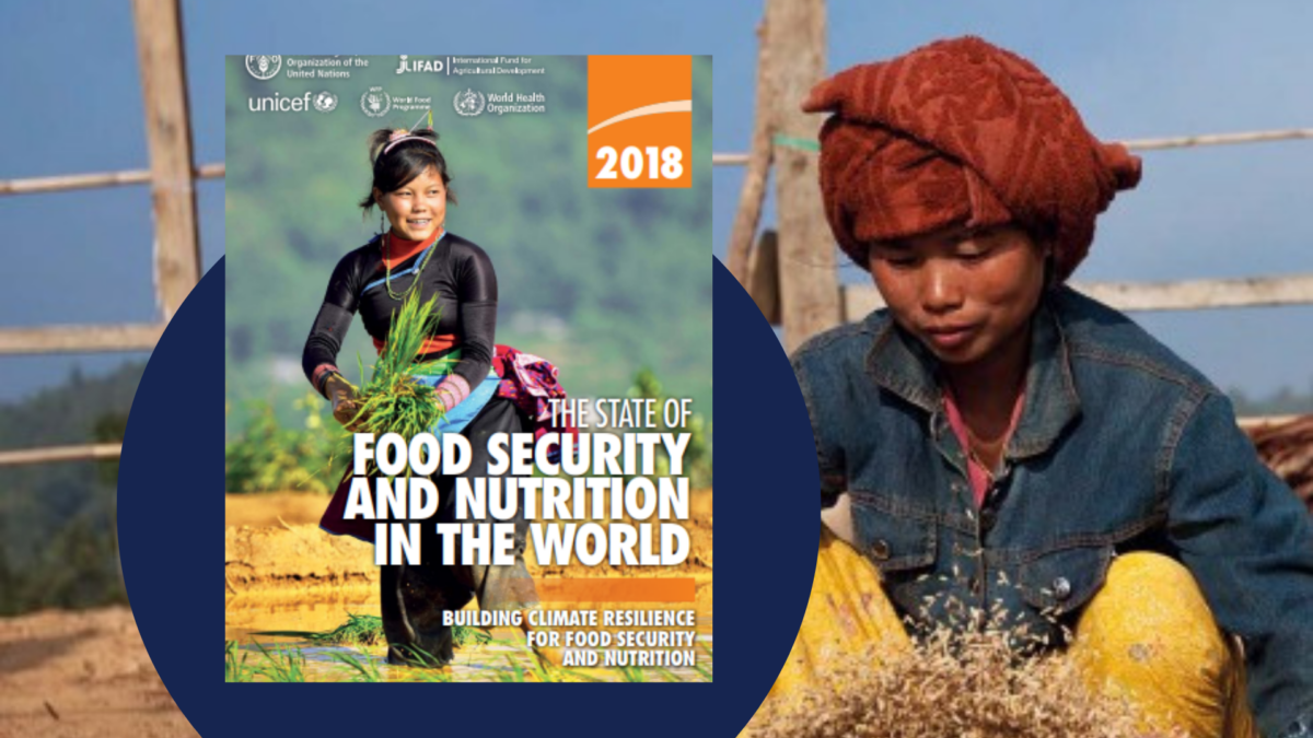 The State of Food Security and Nutrition in the World (SOFI) 2018 ...