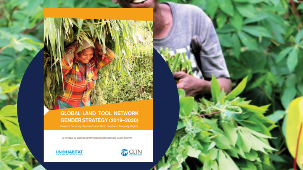 Global Land Tool Network Gender Strategy (2019–2030) - Global Donor ...