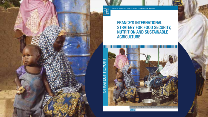 France's International Strategy for Food Security, Nutrition and ...