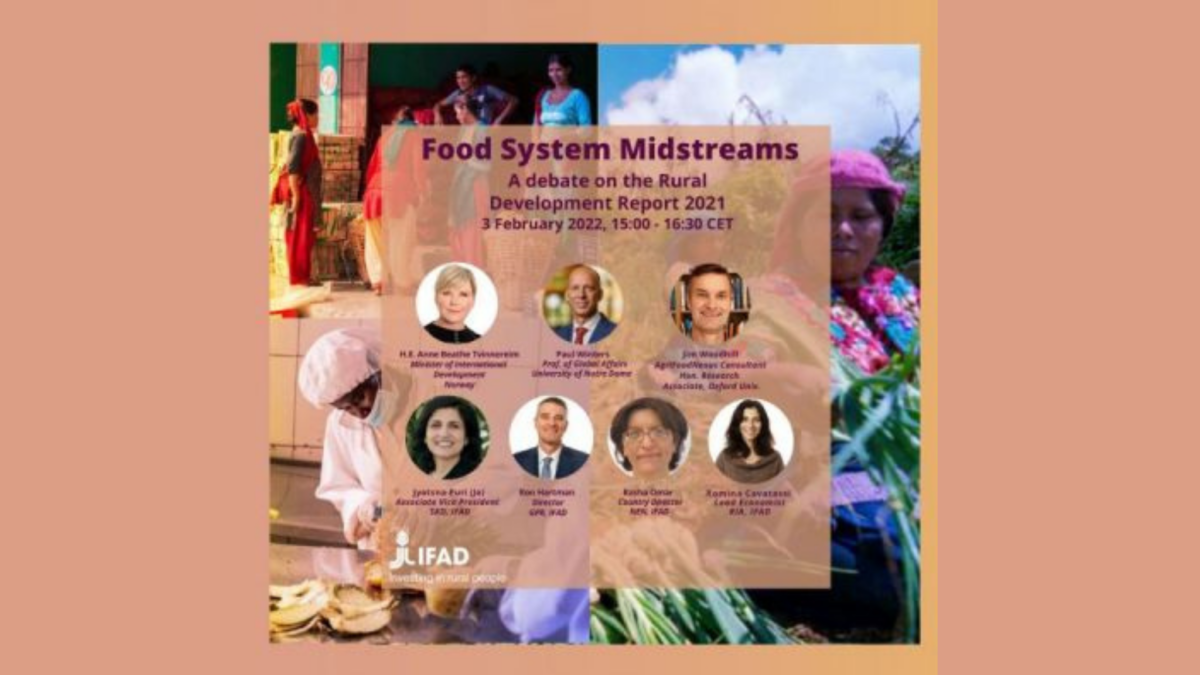 The Food System Midstream - Global Donor Platform for Rural Development