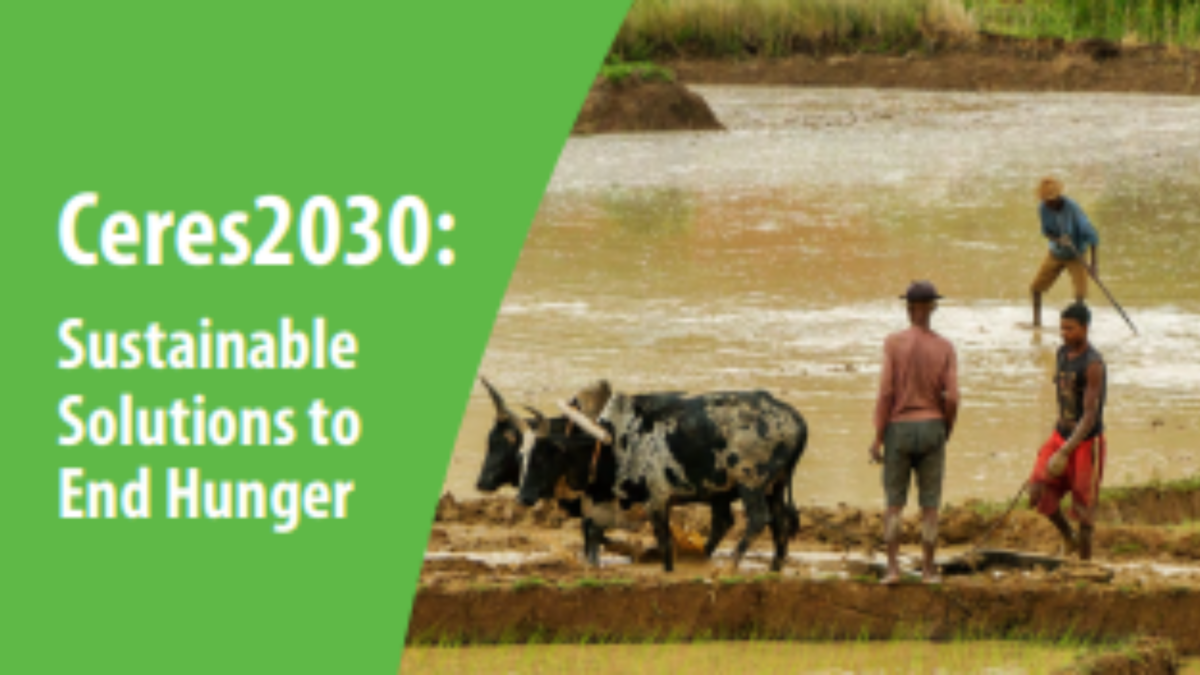 SDG2 Road Map - Global Donor Platform for Rural Development