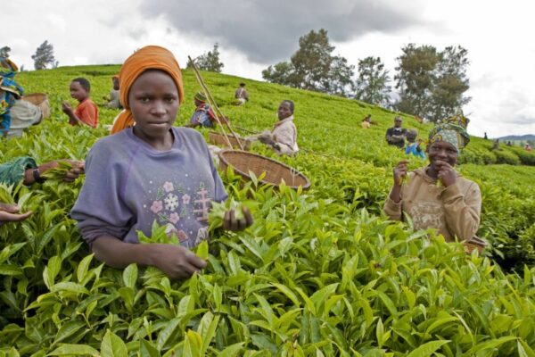 Rural Youth Employment - Global Donor Platform for Rural Development