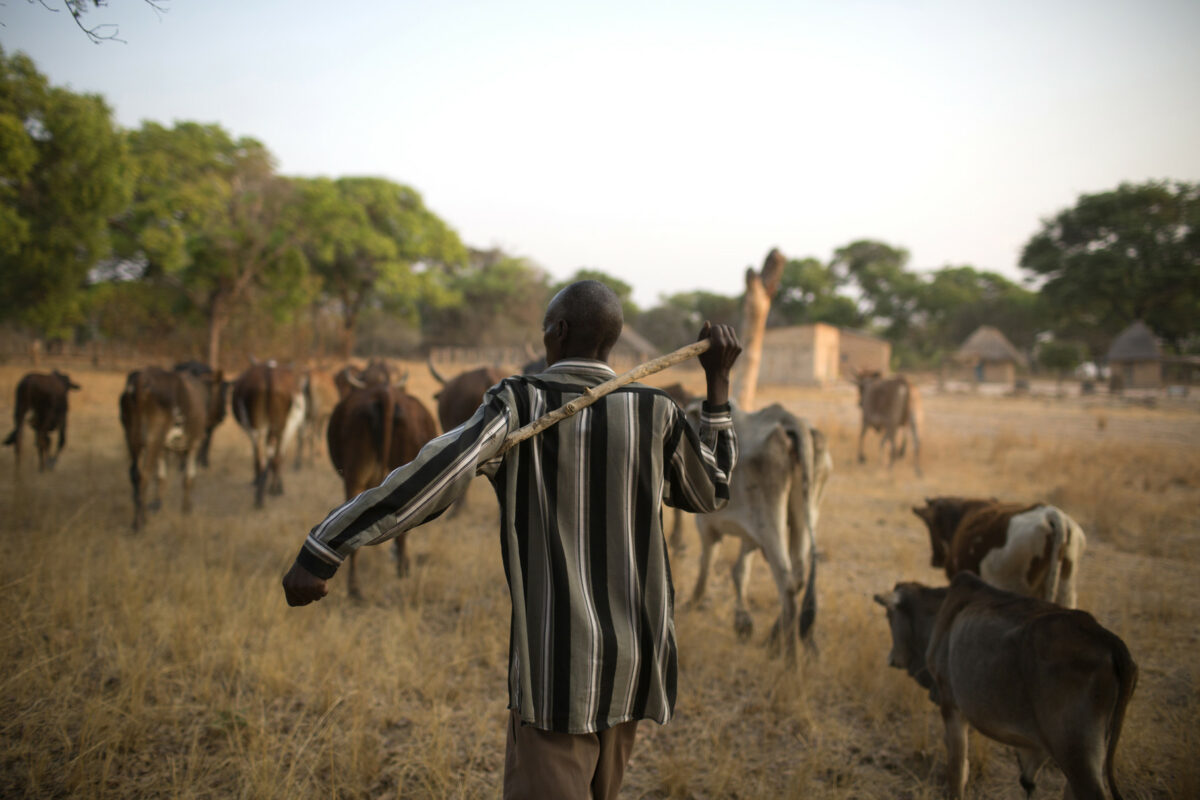 Land Governance - Global Donor Platform for Rural Development