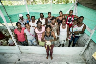 Rural Youth Employment - Global Donor Platform for Rural Development