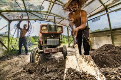 Rural Youth Employment - Global Donor Platform for Rural Development