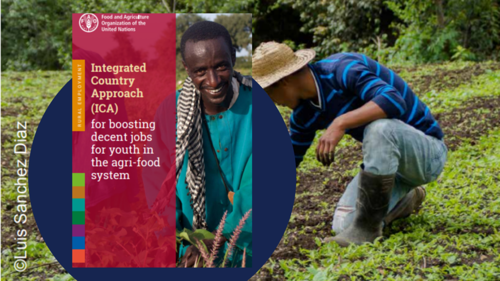 FAO Project: Integrated Country Approach (ICA) for boosting decent jobs ...