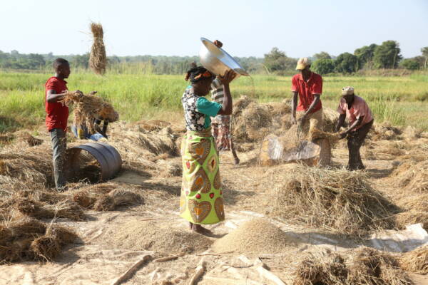 SDG2 Road Map - Global Donor Platform for Rural Development