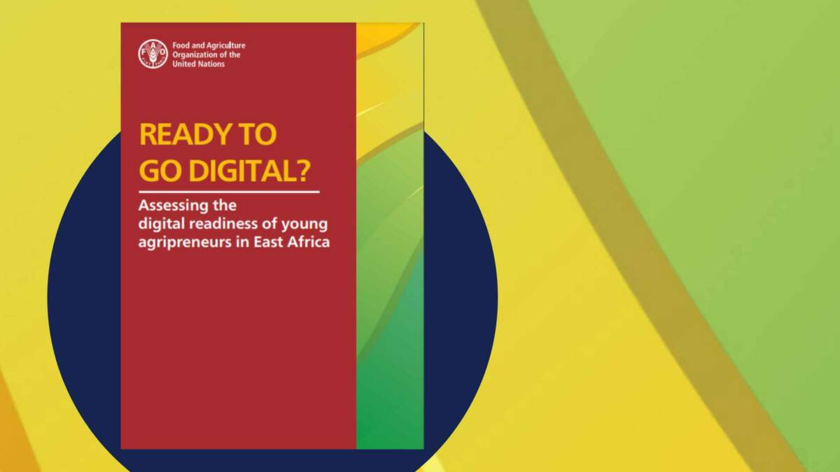 Ready to go digital? Assessing the digital readiness of young ...