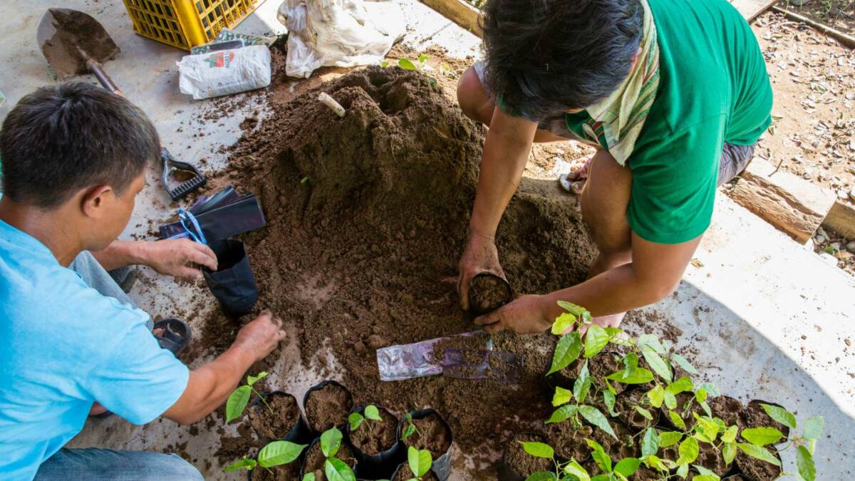 Exploring the nexus thinking in SDGs implementation - Global Donor ...