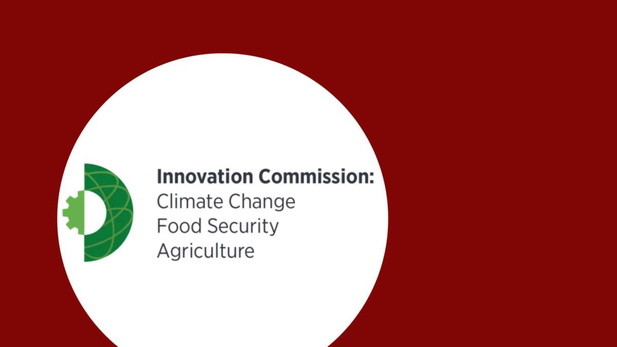 Development Innovation Lab at UChicago Launches Innovation Commission ...