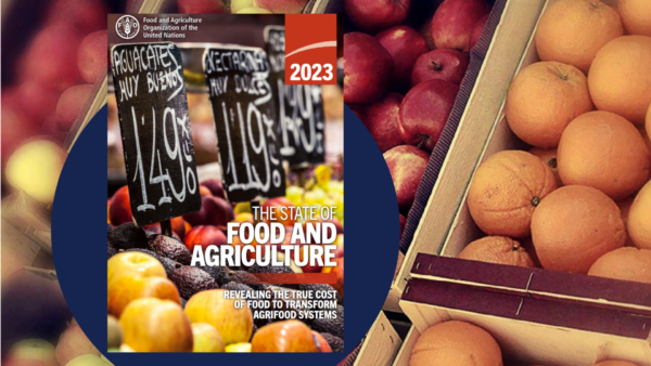 Global Donor Platform for Rural Development