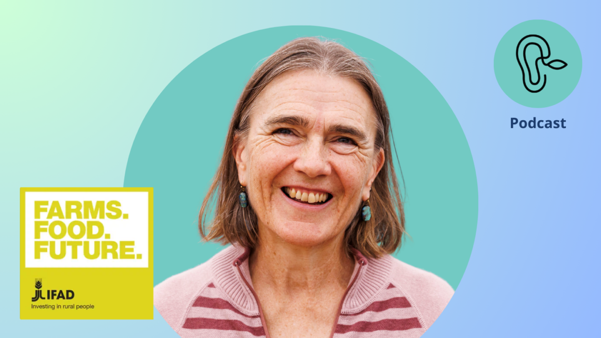 Podcast | Sophia Murphy, Institute for Agriculture and Trade Policy ...