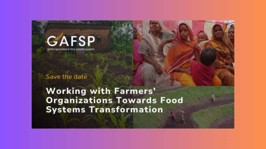 GAFSP: Producer Organization Stocktaking Moment - Global Donor Platform ...