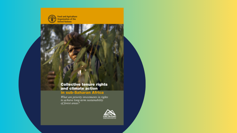 OECD: States of Fragility 2025 - Global Donor Platform for Rural ...