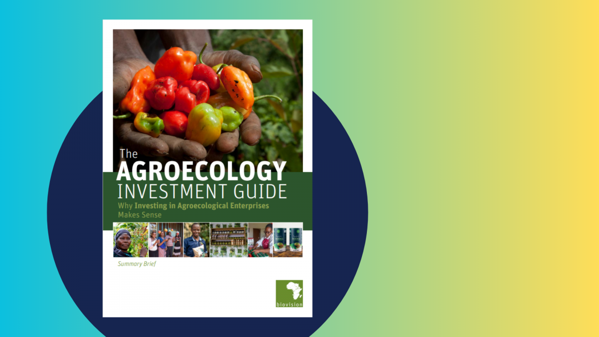 OECD: States of Fragility 2025 - Global Donor Platform for Rural ...