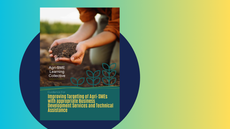 OECD: States of Fragility 2025 - Global Donor Platform for Rural ...