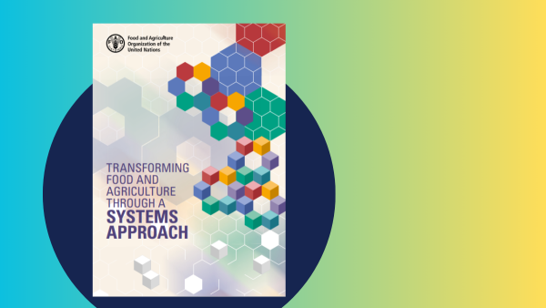 OECD: States of Fragility 2025 - Global Donor Platform for Rural ...