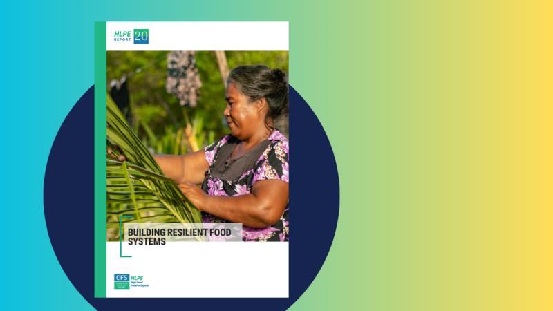 OECD: States of Fragility 2025 - Global Donor Platform for Rural ...