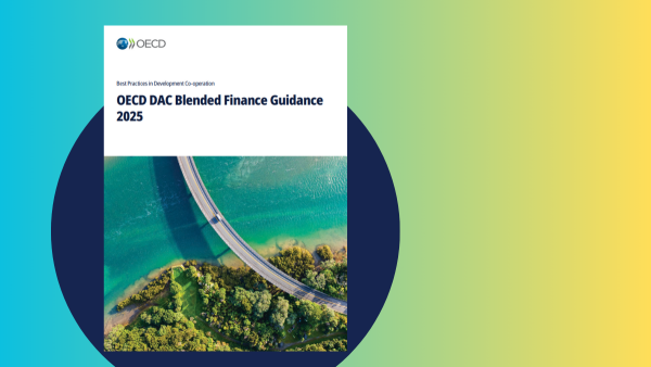 WEF: Global Risks Report 2025 - Global Donor Platform for Rural Development