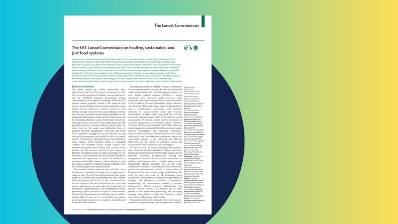 WEF: Global Risks Report 2025 - Global Donor Platform for Rural Development